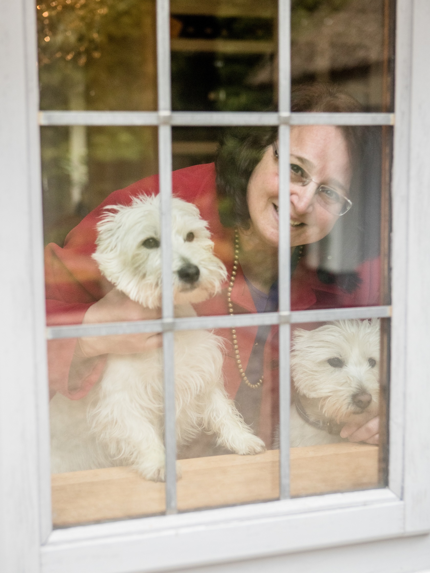 What Is House Sitting? | How HouseSitMatch Works